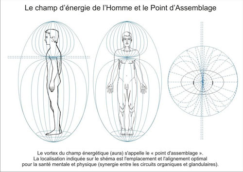 Le Point d'assemblage - NAVOTI